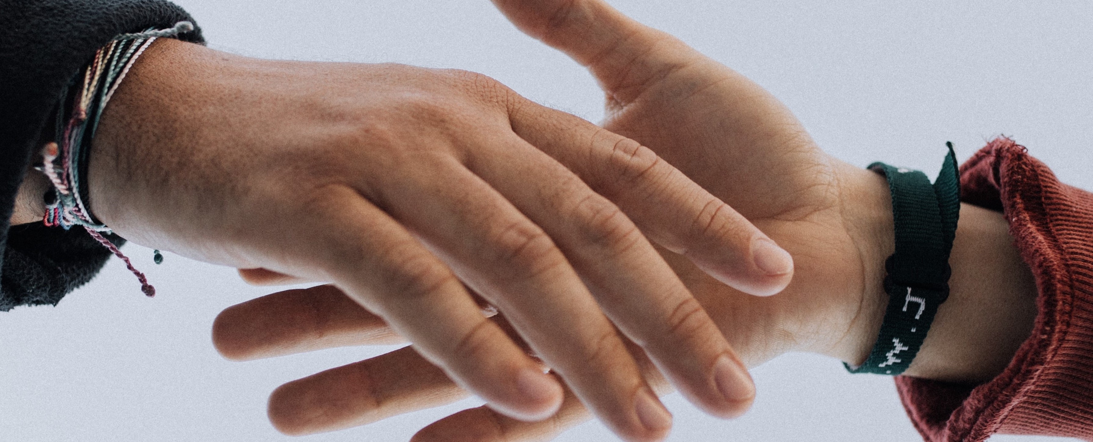 PRJ4 Dandelion Website — Home Page